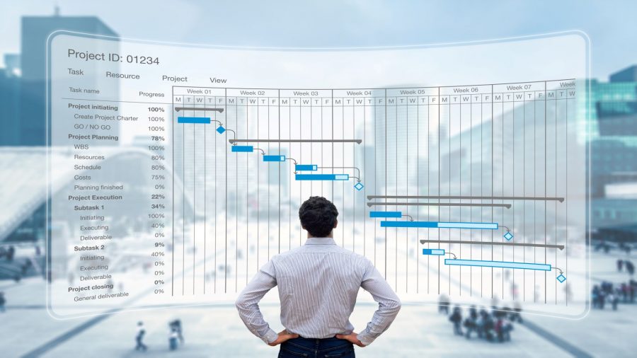 SPMP™ Schedule & Planning Management Professional™ - EVMi® Earned Value ...