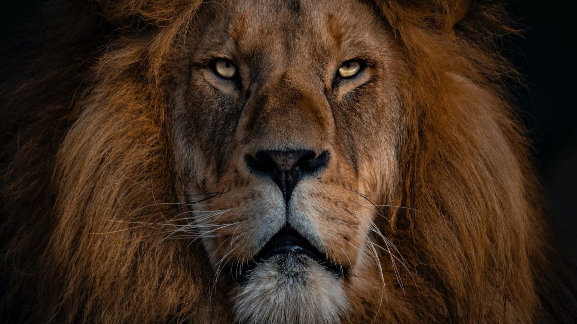 EVMP, EVMPAI are EVMi® Global Top & Best Certifications